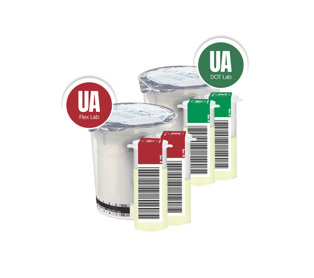 TEST OPTIONS – Labb.com