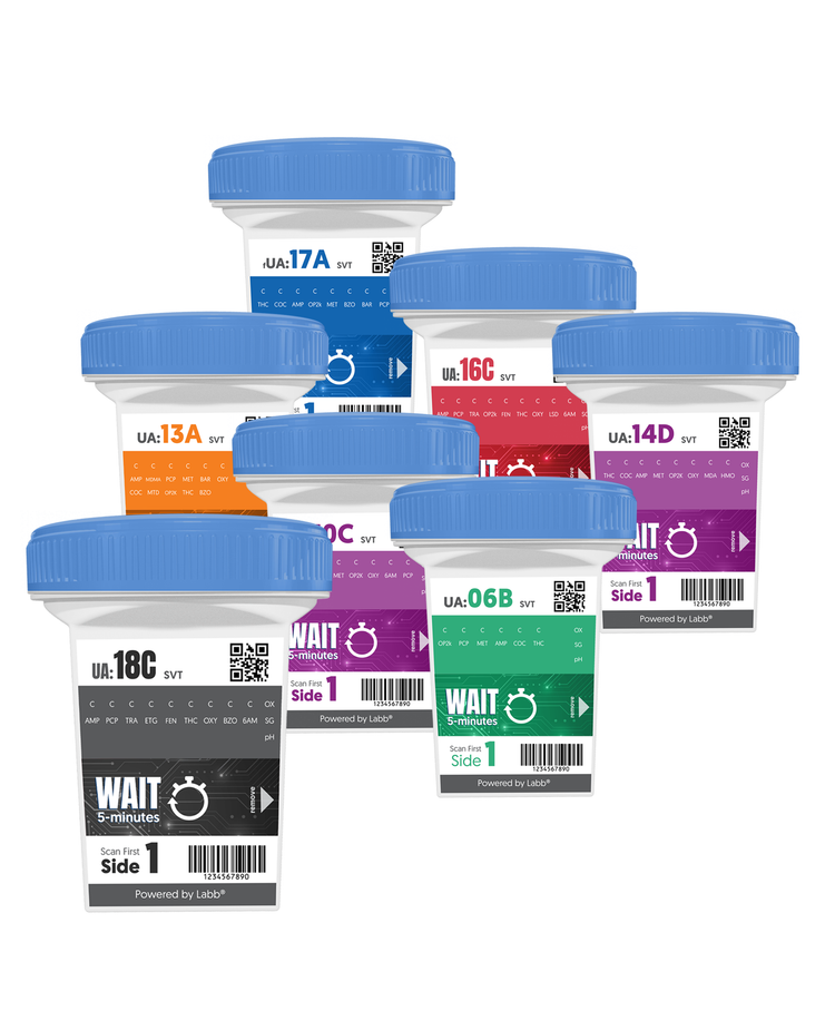 TEST OPTIONS – Labb.com